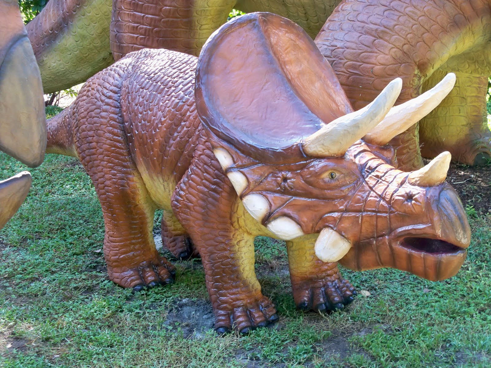 Dinosaur World Blog: Baby Torosaurus