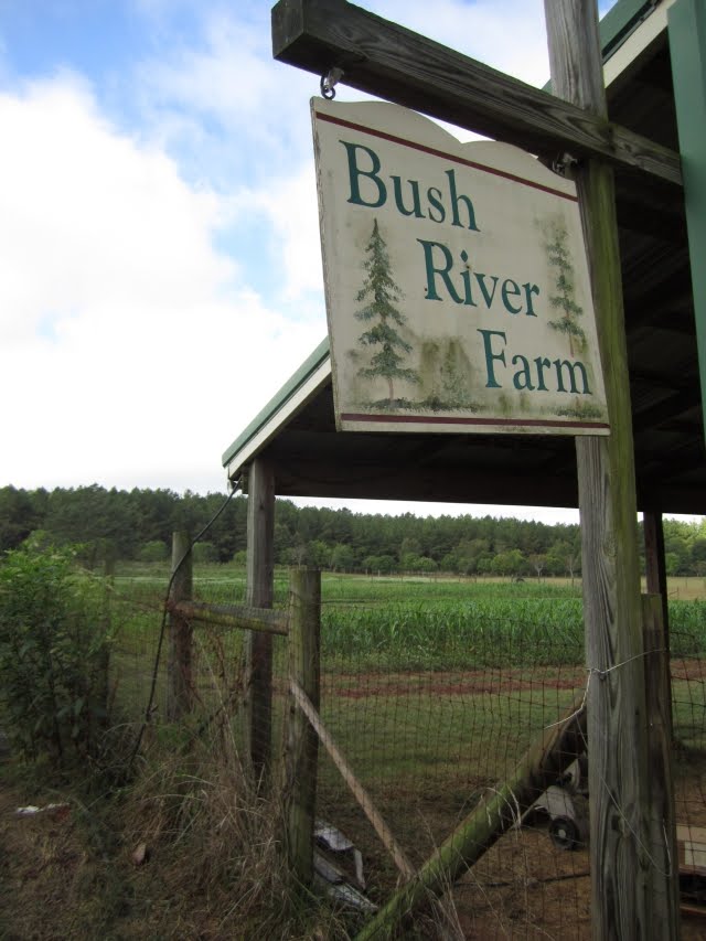 WNC Vegetable and Small Fruits News: 2010