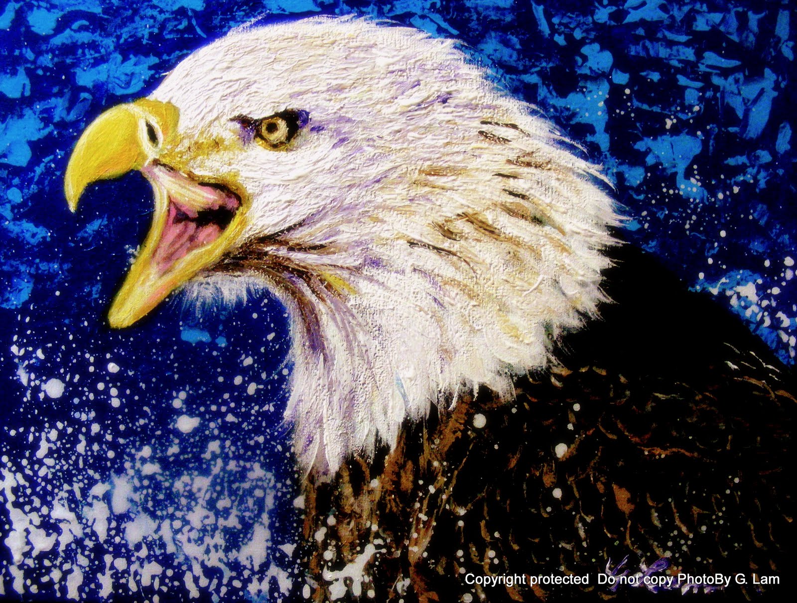 Artscanyon Gallery: Fast and Furious Bald Eagle