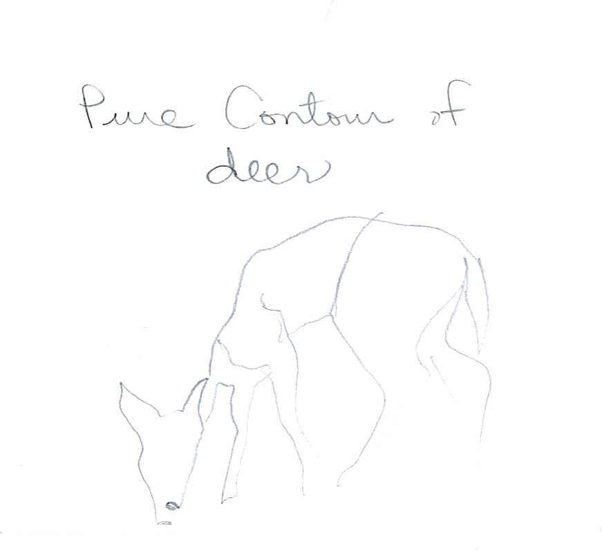 The Biggest Fridge In the World: Pure Contour, Modified Contour, and ...