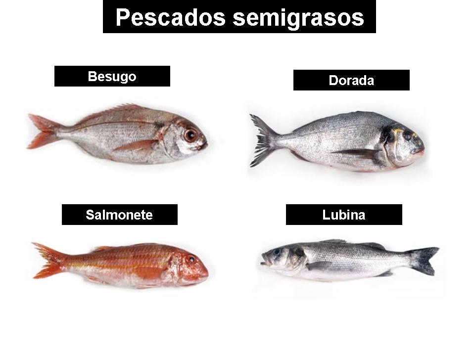 Pescados Azules Lista De Variedades