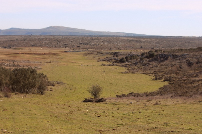 la morenica: el Páramo de la Lora