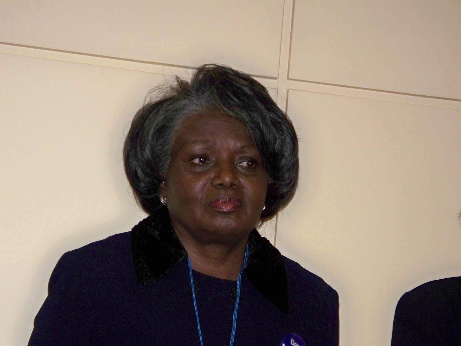 Georgia Federation of Democratic Women GRAPEVINE