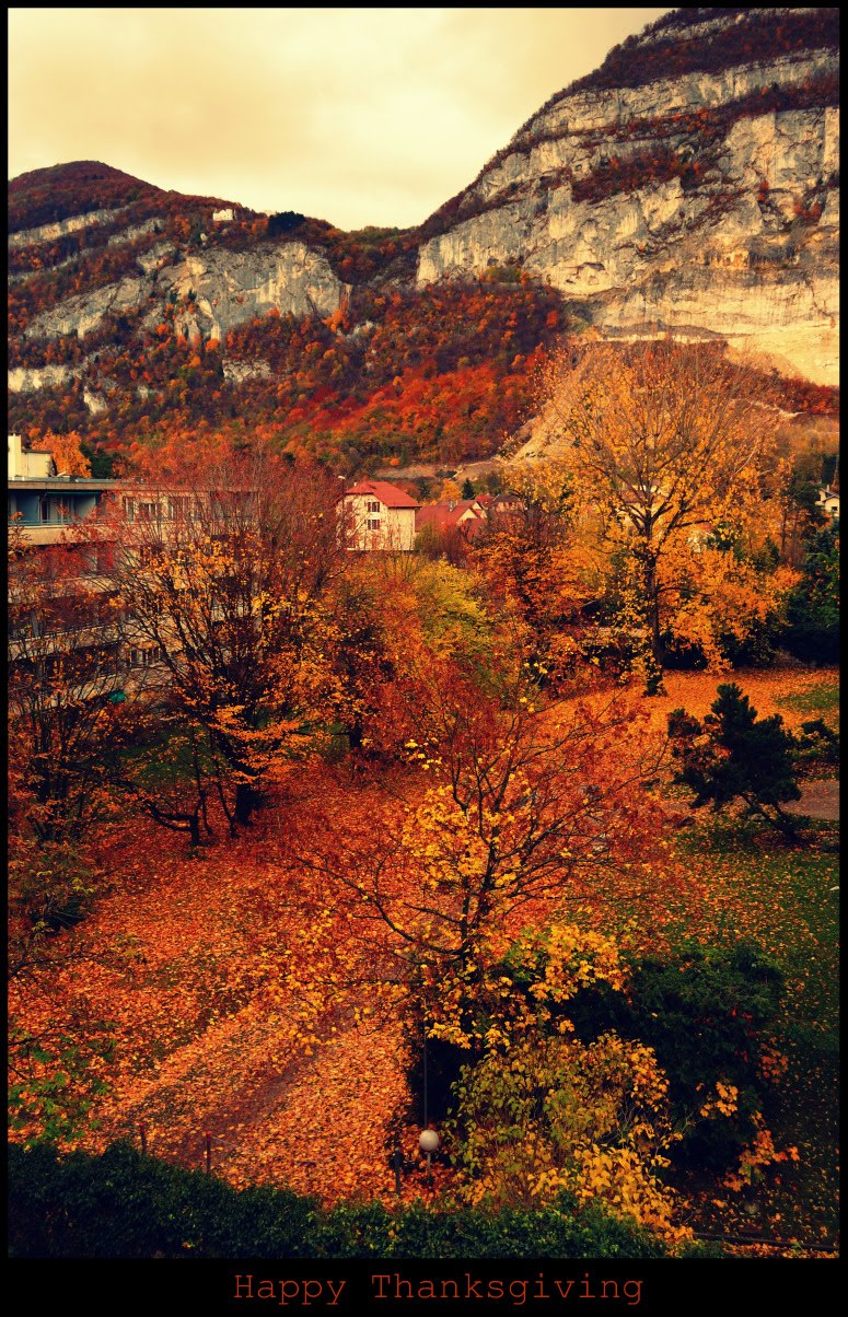 Rosa's Yummy Yums: THANKSGIVING 2009 - FOOD IDEAS