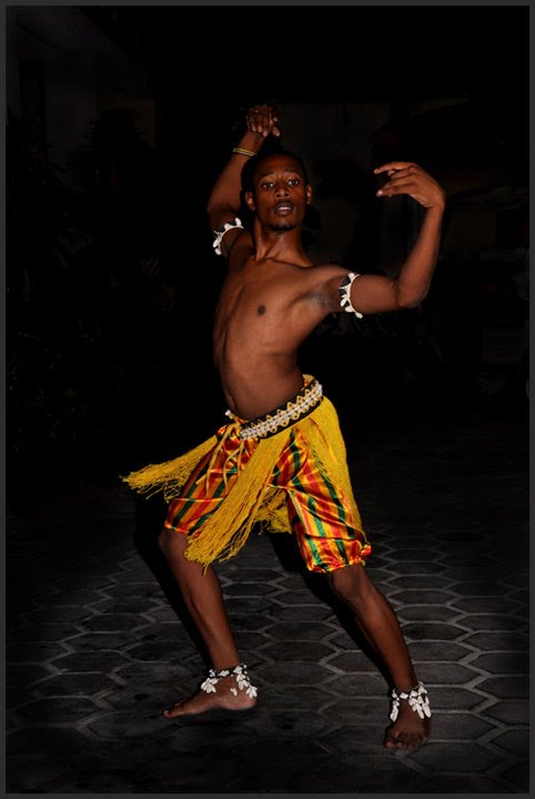 Friends of the Humane Society (FOTHS) and SAGA Thrilled at Success of ...