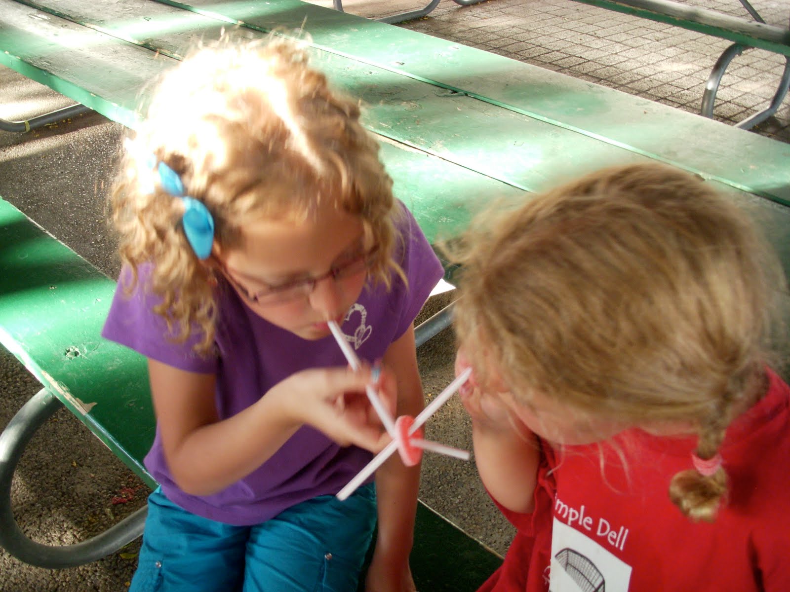 TravelinOma: Ten Tips for a Budget Family Reunion