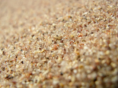 The Undeniable Existence of The Soul: Grains of Sand...