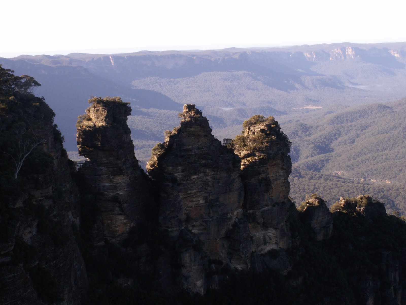 Mo in Melbourne: Blue Mountains
