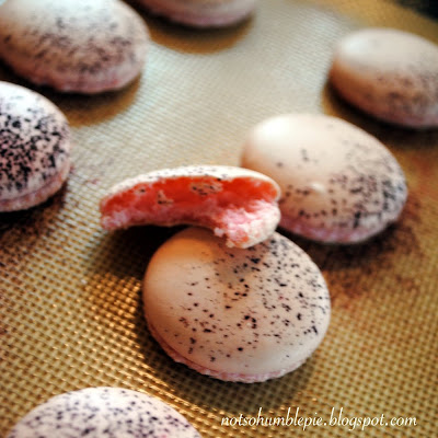 Not So Humble Pie: Rose Macarons (Not Safe For Snakes)