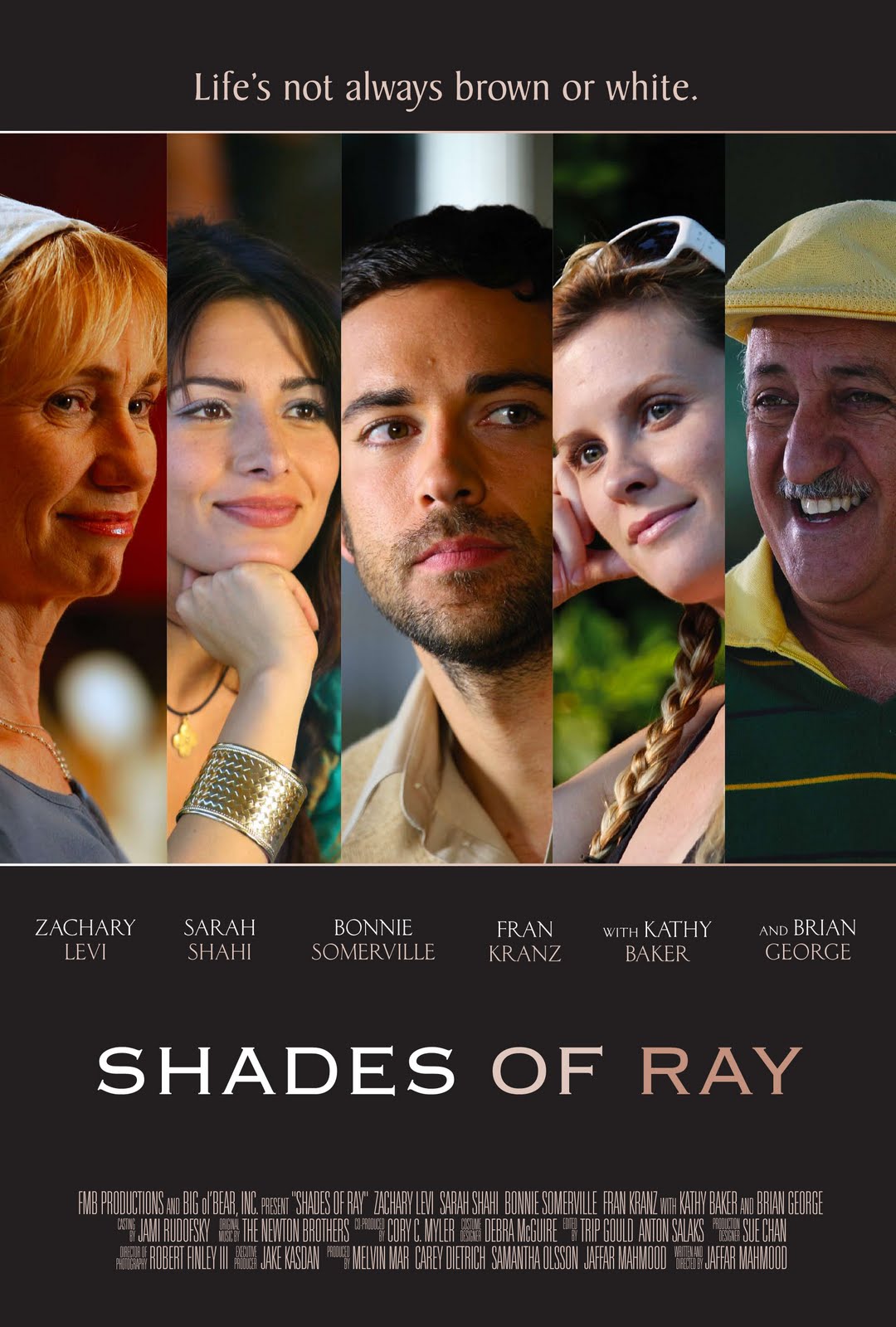 Robb's "Movie A Day": 063: Shades Of Ray (2008)