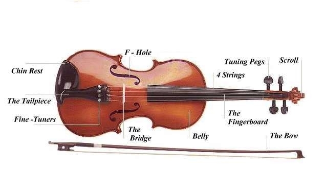 Sneak a Peak in our Music Class!: Music History: Violin instrument analysis
