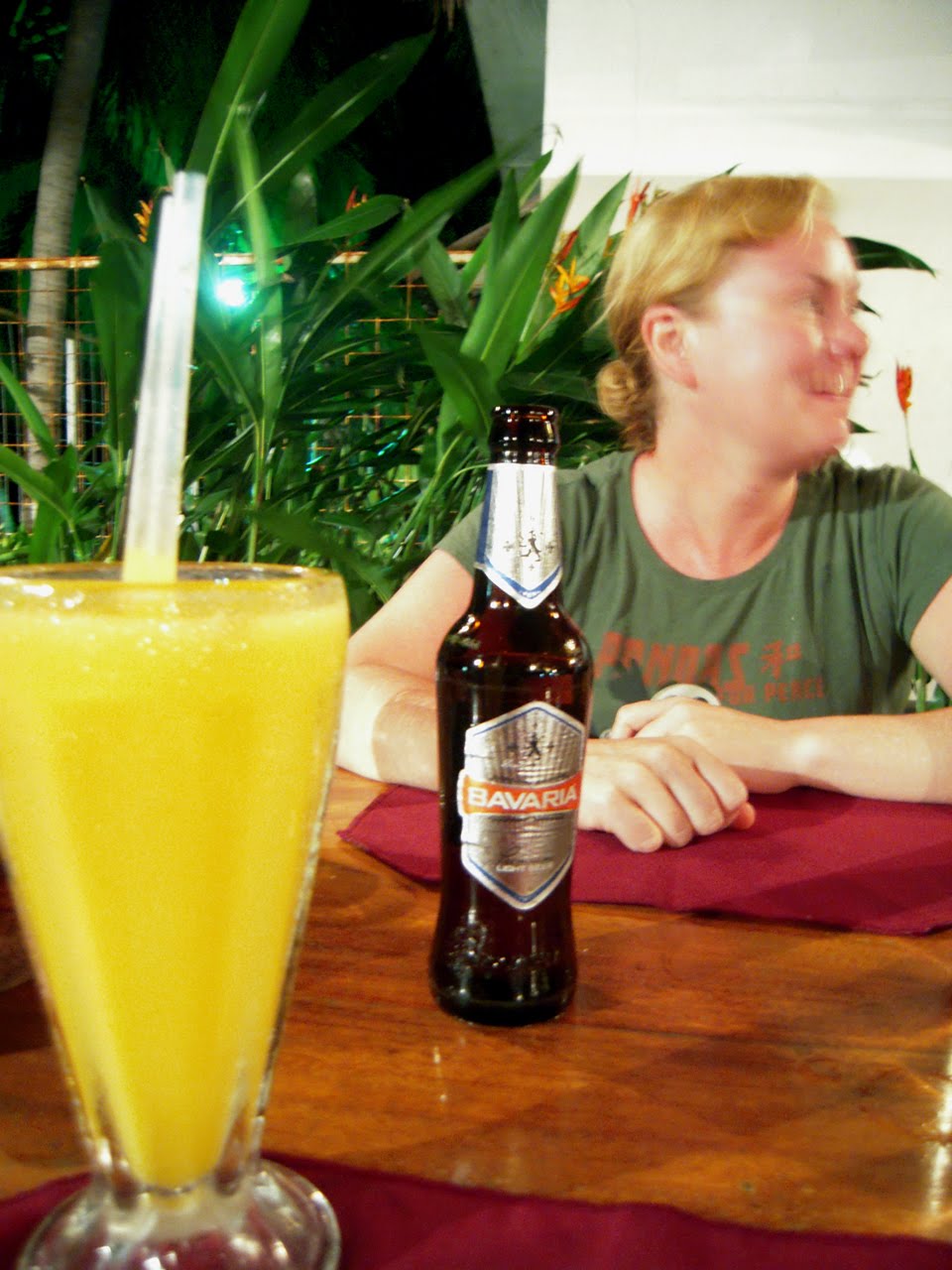 Buddha Bellies: Batidos: Costa Rican Drink of Choice