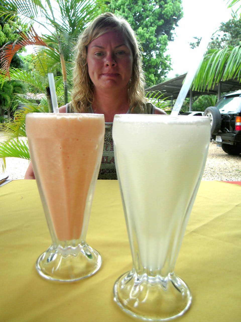 Buddha Bellies: Batidos: Costa Rican Drink of Choice
