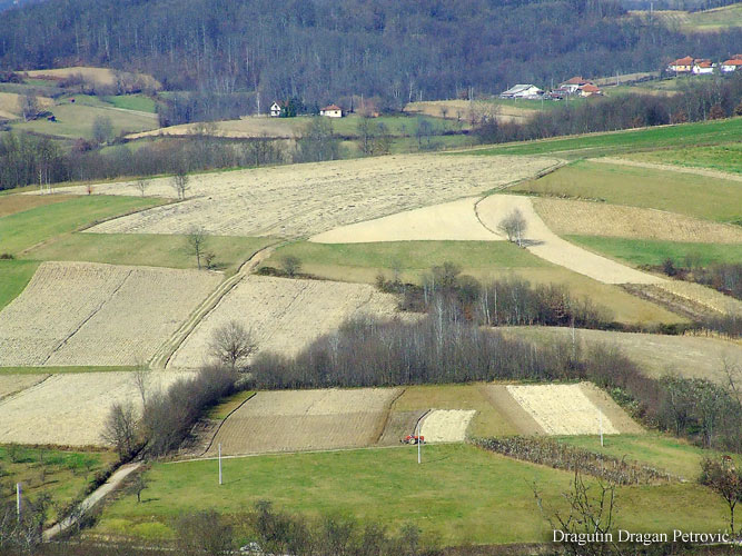 Dragačevo - selo Kotraža