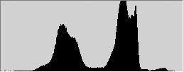 Richard Dalgleish: Exercise 3 - Histogram part 1 - High Contrast