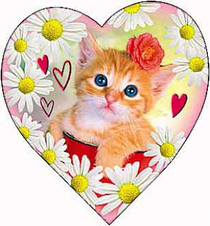 Gatita Muy Tierna...