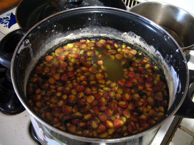 My Journey is my Home: Red-Corn Tortillas