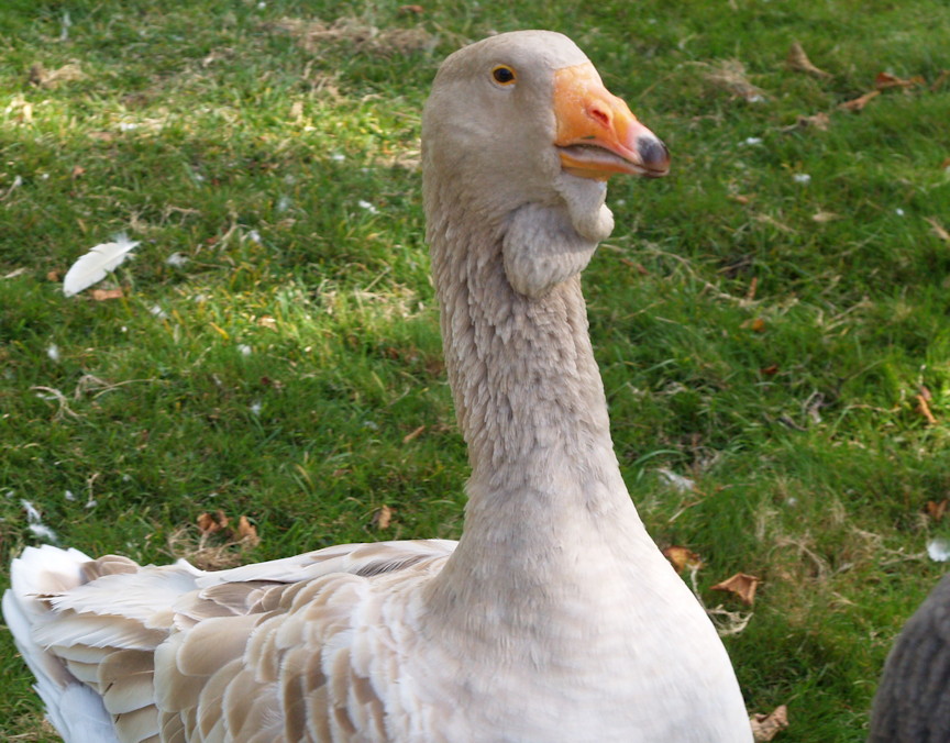 The Yacht Anomaly: 9-27-10 Halifax does not disappoint.