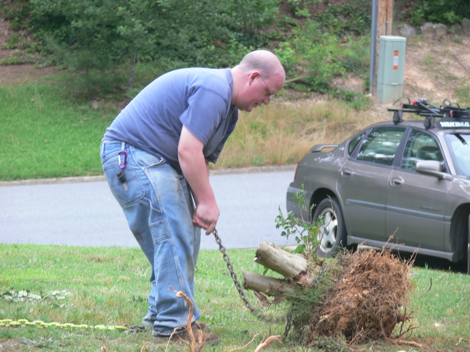 Home and the Open Road: My stump puller