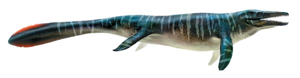 Giant Reptiles of the Mesozoic seas