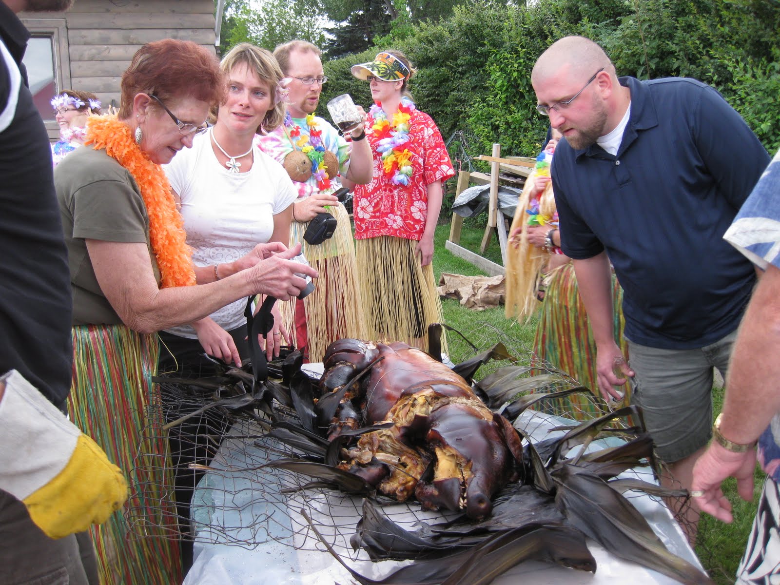 Lumsden FLorist etc.: Hawaiian Luau - How to Pit Roast a Pig