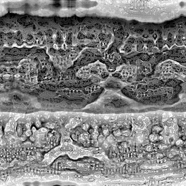 Life of a Lab Rat: Art from Turing Patterns