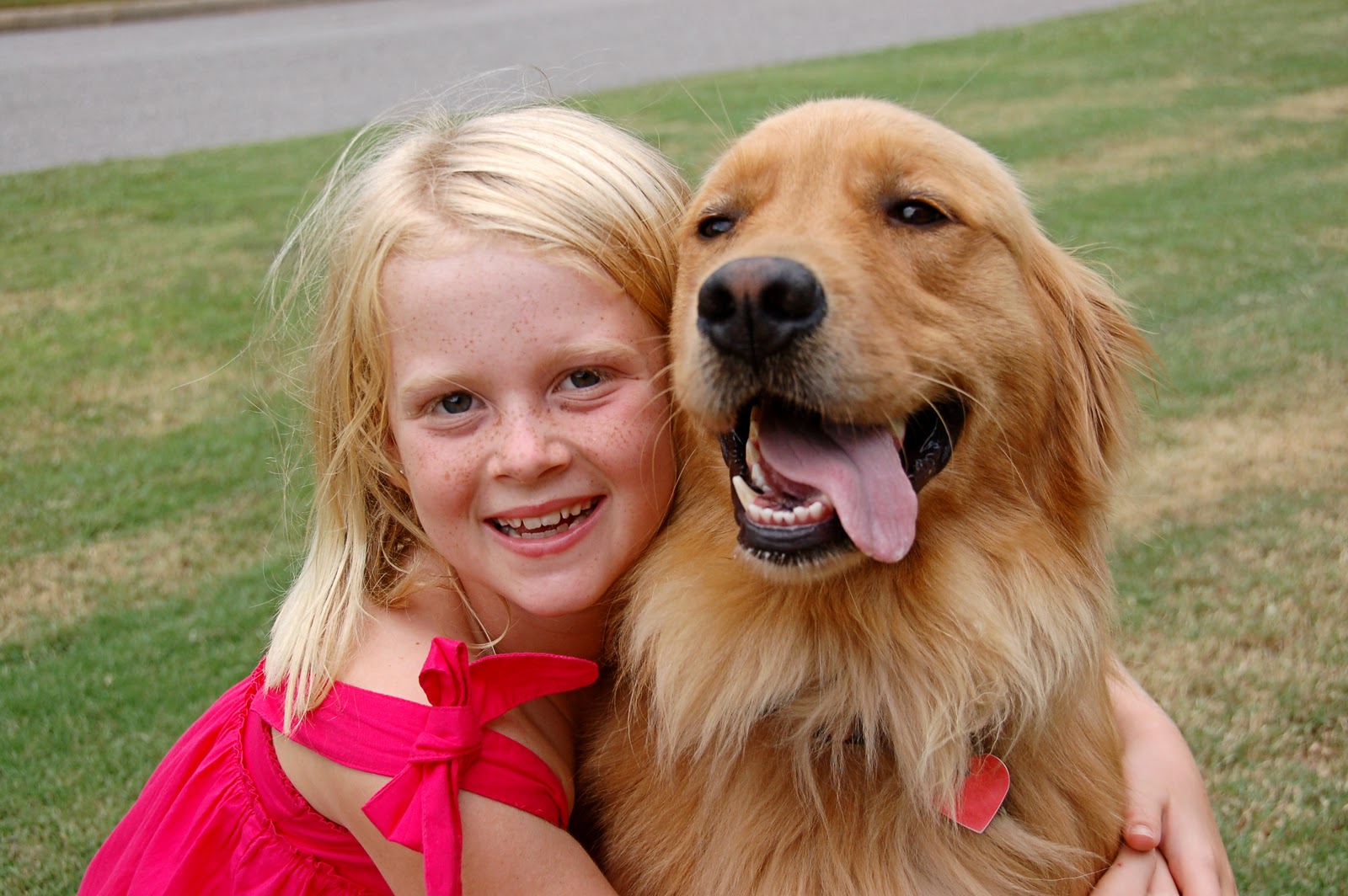 grass stains: A family - two dogs + Facebook + a community = a ...