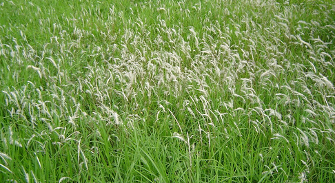 Mga Kwentong Ma Alamat: Weekend Getaway: The Luzon Invasion, Part 1 of ...