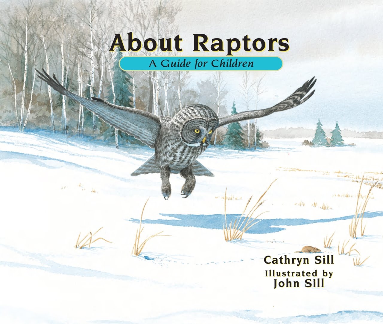 About Raptors… the Birds, Not the Dinosaurs… – Peachtree Publishing ...