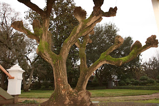 McDonald Mansion, Santa Rosa, CA: McDonald Mansion,