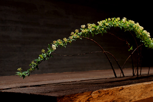 Gardenroom - Decoraciones Florales: Naoki Sasaki: Arte floral ...