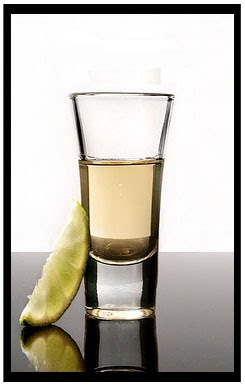 Buffalo Drinks: A Brief Introduction To... Tequila