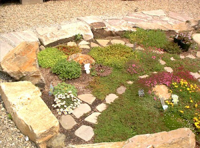 SCIENCE EXPLORERS: Sample Pictures-Rock Garden