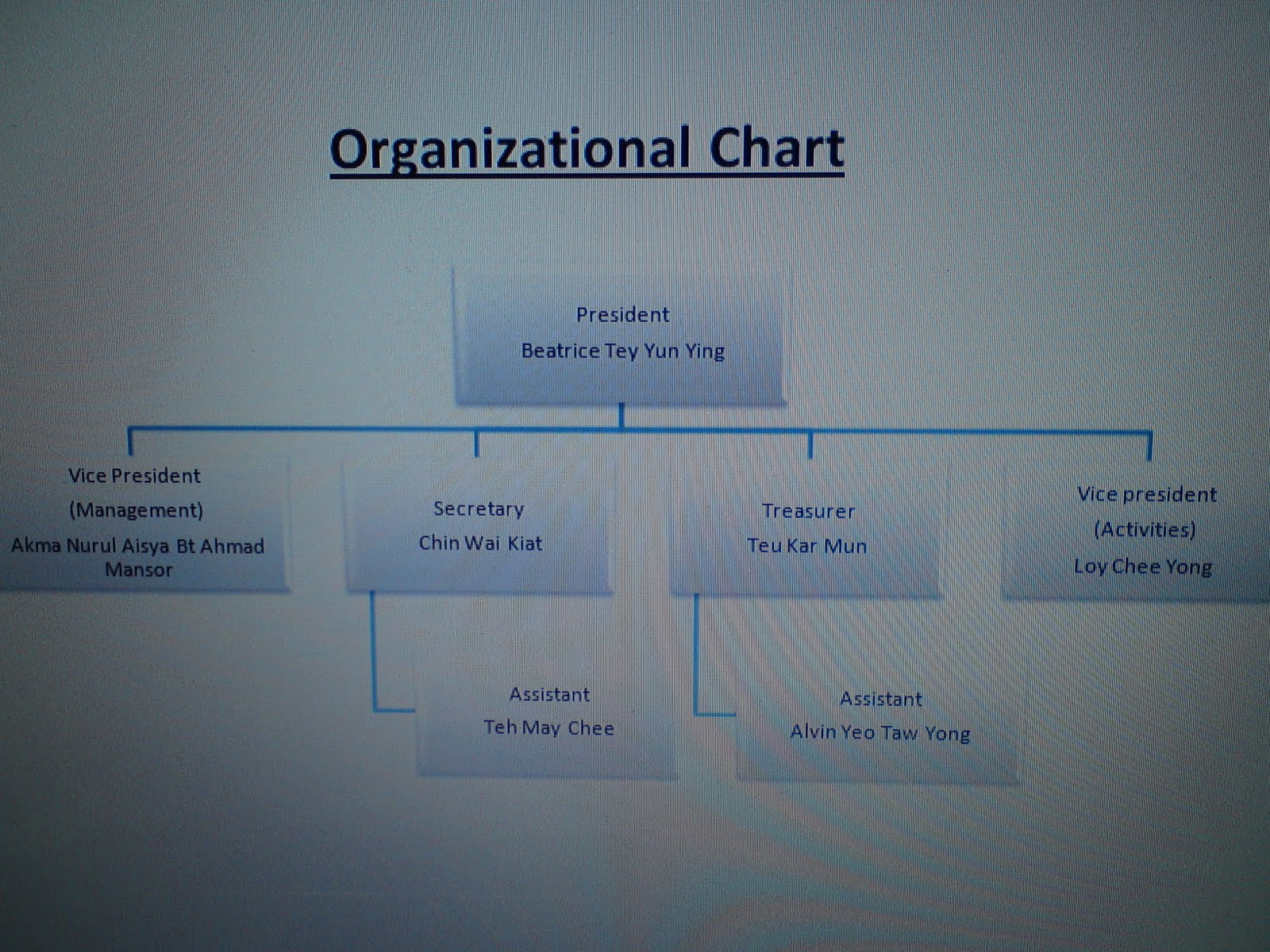 Enhancing World Peace Through International Business: IB Organization