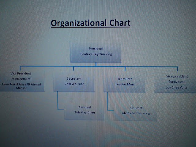 Enhancing World Peace Through International Business: IB Organization