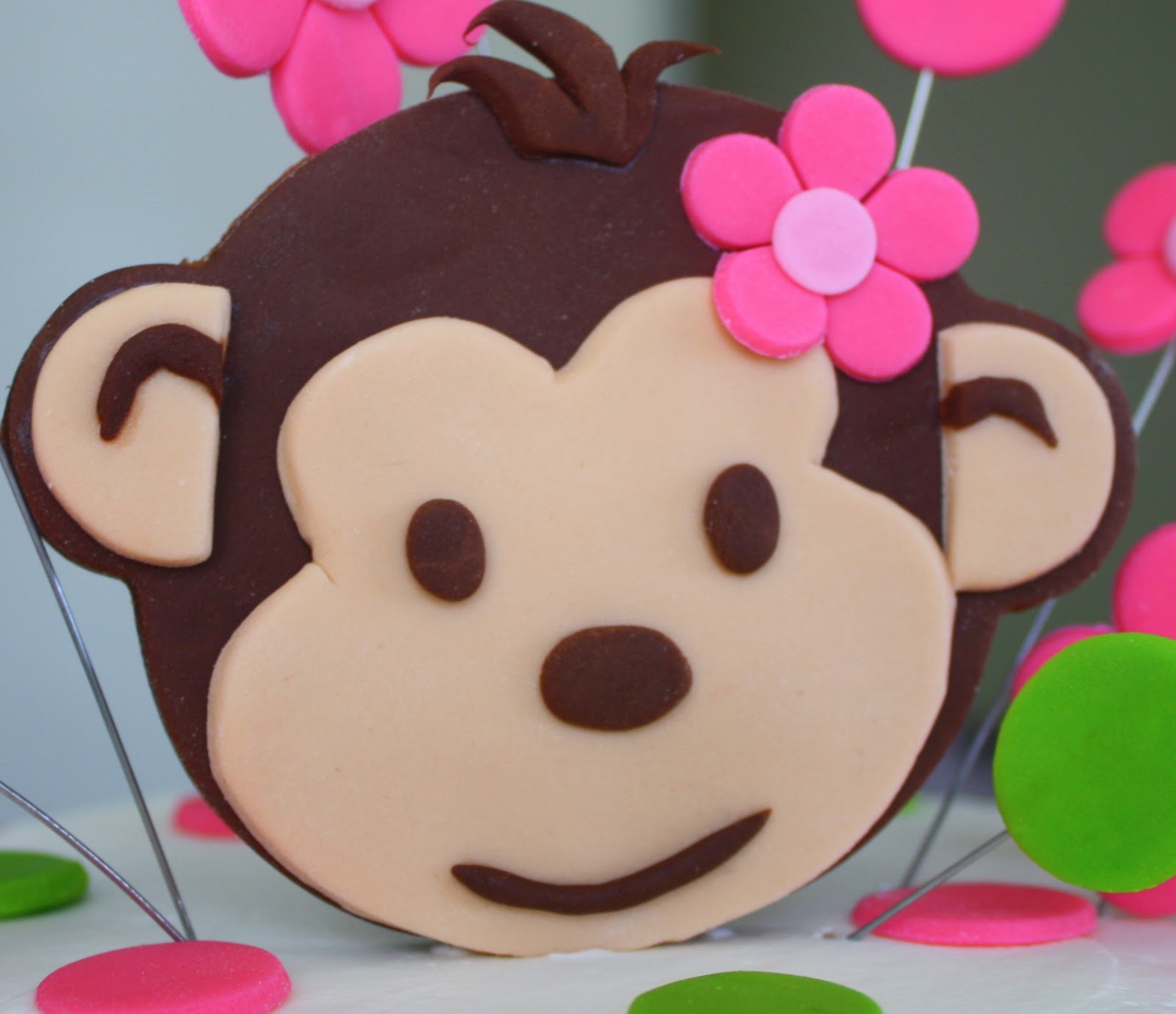 Claudine: Pink Mod Monkey 1st Birthday