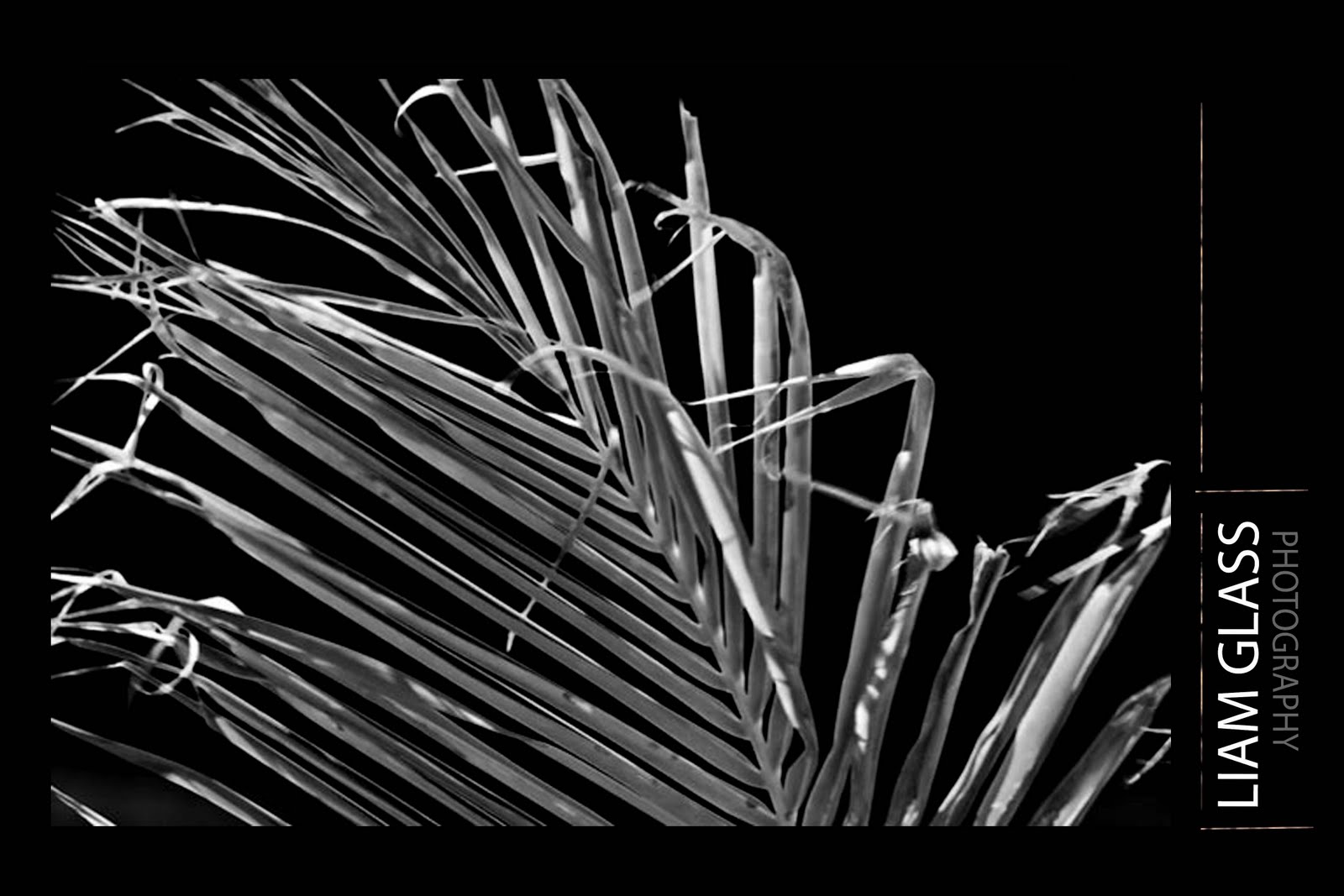 Enter the mind of liam glass.