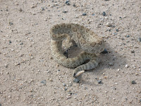 Doing It On The Road: Agate Flats: History, Sweetwater Moss Agates, and ...