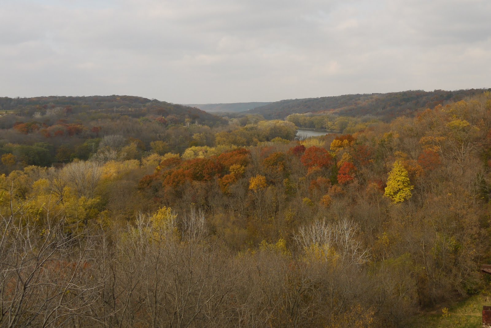 Mother Nature's Symphony: Iowa Landscape