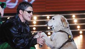 PREVENIR LA CEGUERA: PERROS-GUIAS PARA NO VIDENTES