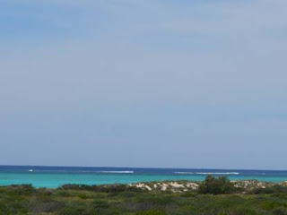 Travelling Quil-t-ales: DAY 21 - WINDERABANDI POINT (NINGALOO STATION ...