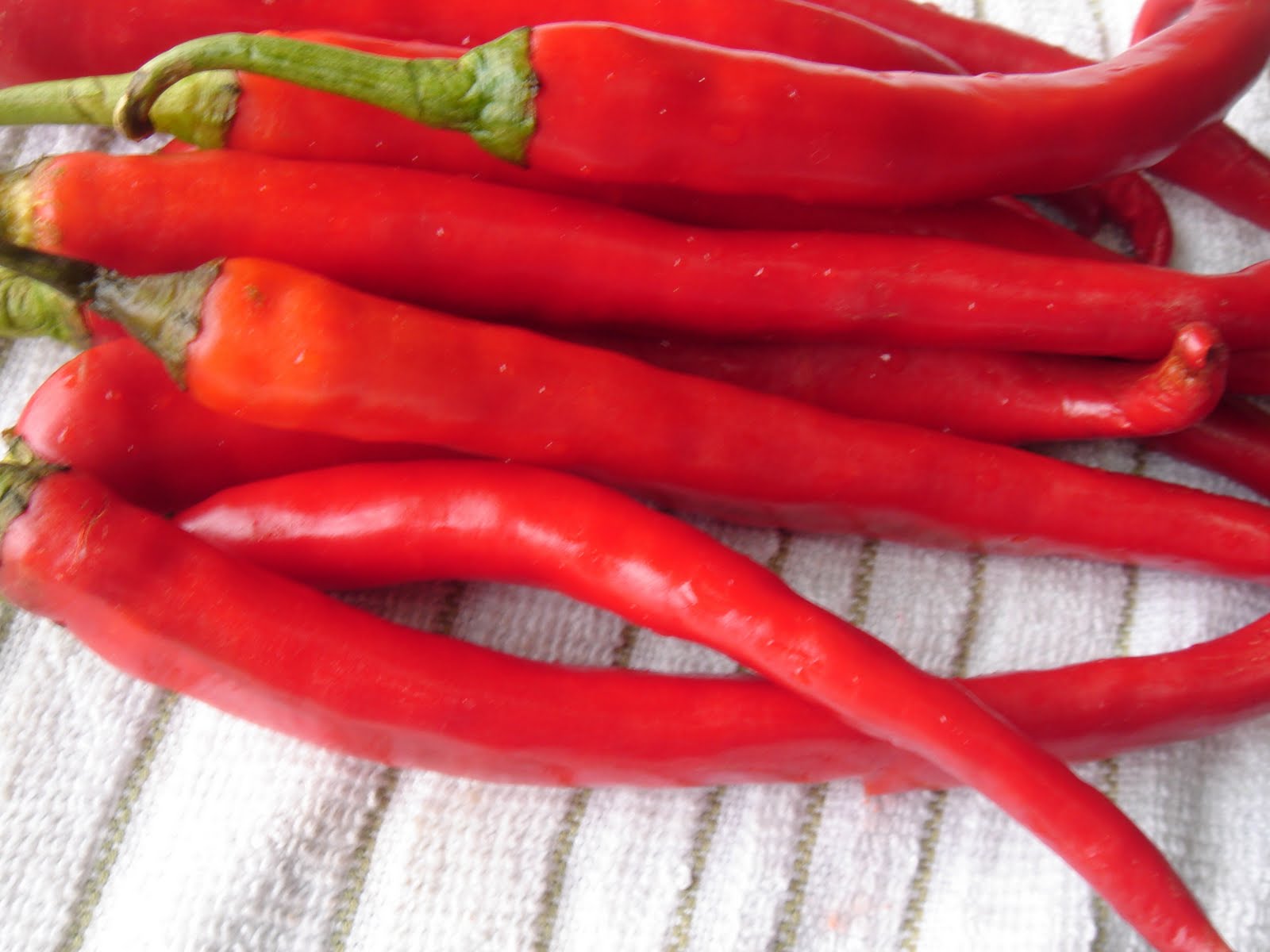The Weekend Epicurean: Fresh Red Chillies!!
