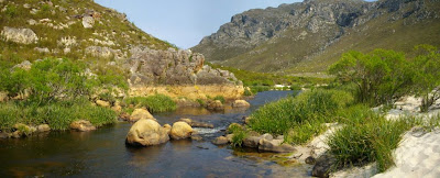 Walking the Cape: Kogelberg: Palmiet River Trail
