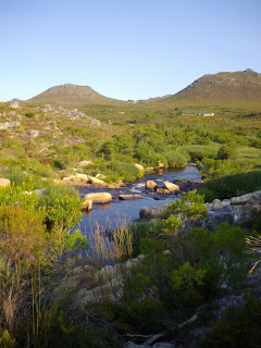 Walking the Cape: Kogelberg: Palmiet River Trail