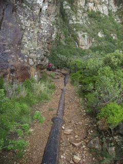 Walking the Cape: The Pipe Track