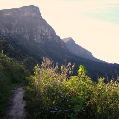 Walking the Cape: Contour Path: Constantia Nek to Newlands