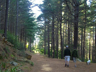 Walking the Cape: Contour Path: Constantia Nek to Newlands