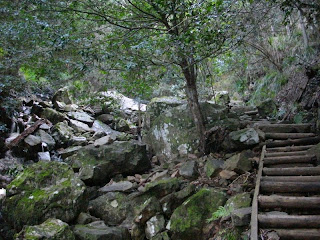Walking the Cape: Contour Path: Constantia Nek to Newlands