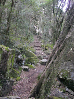 Walking the Cape: Contour Path: Constantia Nek to Newlands