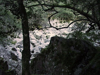 Walking the Cape: Contour Path: Constantia Nek to Newlands